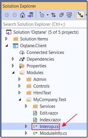 Using Custom JavaScript in Blazor Oqtane